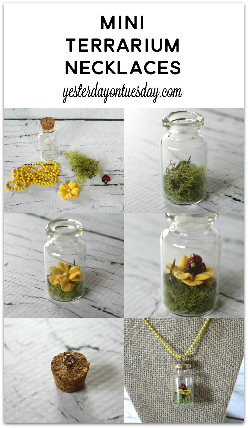 Mini Terrarium and Succulent Necklaces | Yesterday on Tuesday
