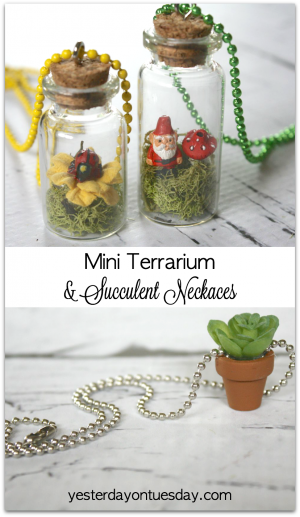 Mini Terrarium and Succulent Necklaces | Yesterday on Tuesday